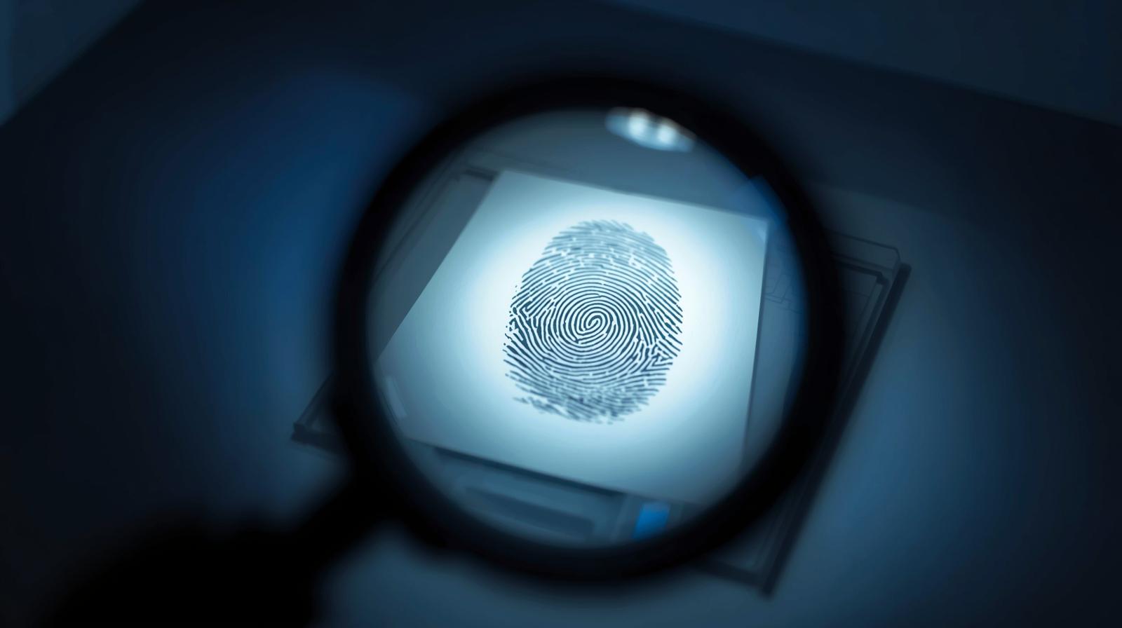 Forensic Fingerprint Examination - Fingerprint Analysis